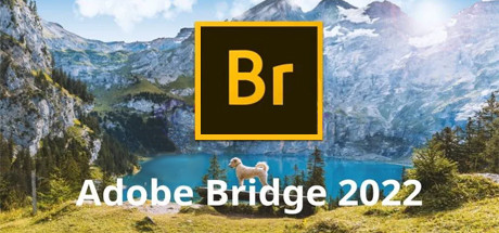 Comprar Adobe Bridge 2022 Key 🏷️ al mejor precio | Gocdkeys